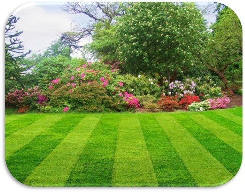 Commercial Landscaping Services – Quispamsis-Saint John | Homestar Inc